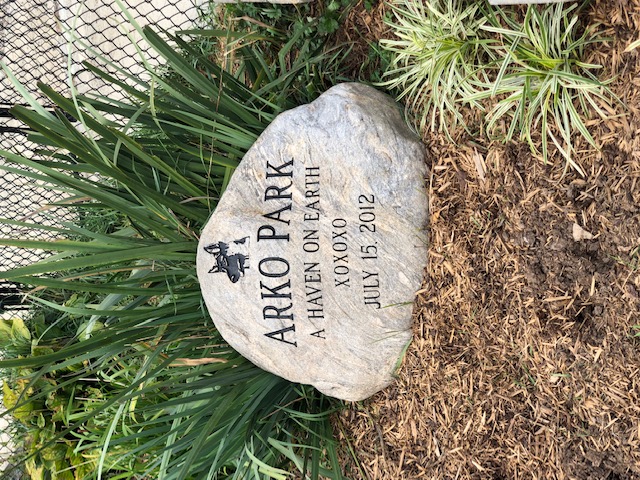 The Whole Town is Barking About Arko Dog Park
