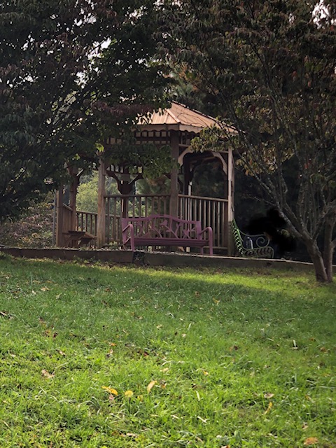 The Whole Town is Barking About Arko Dog Park