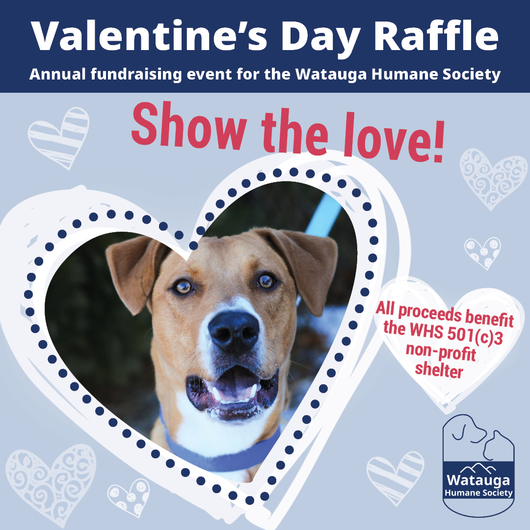 Watauga Humane Society Valentine Raffle